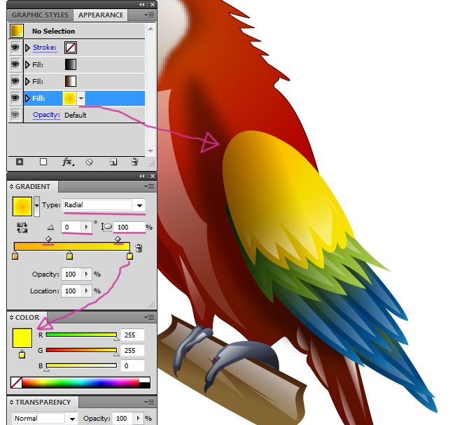 Creating a Realistic Vectorial Macaw | Adobe Illustrator