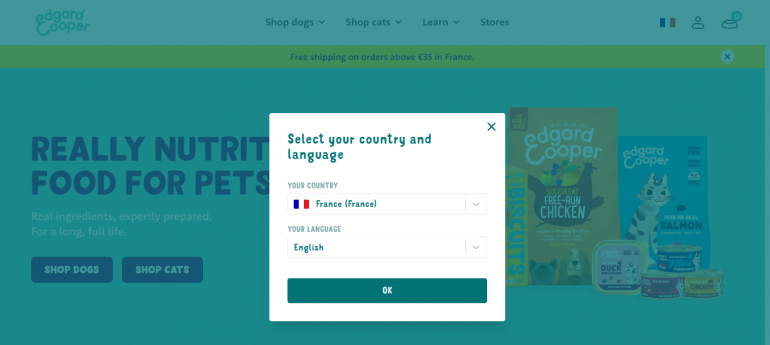 Designing Multi-Language Websites: Guide 2024 + Examples | Web Design ...